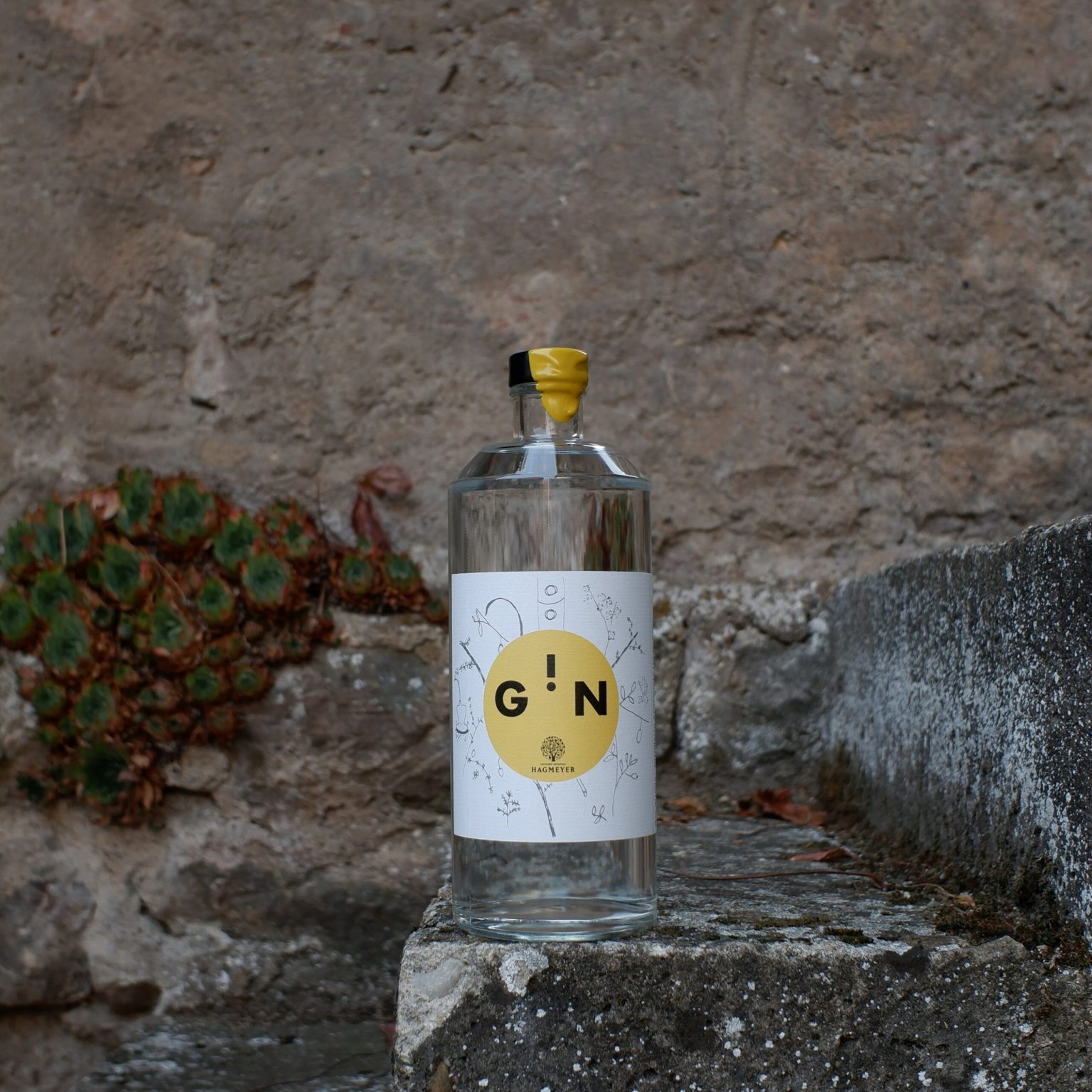 G!N - gin | Distillerie Hagmeyer